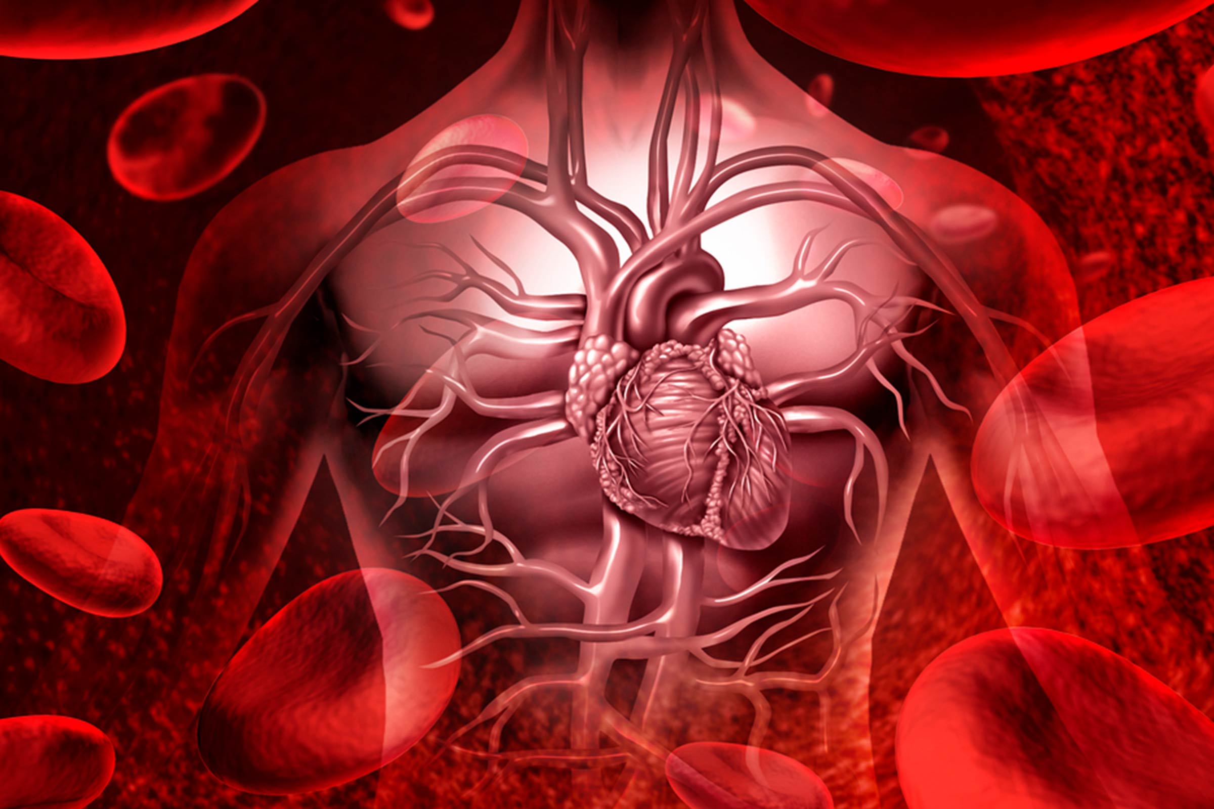 Reasons Everyone Should Know Their Blood Type Reasons Everyone Should Know Their Blood Type